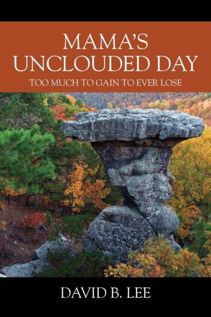 Mama's Unclouded Day | David B Lee | Biografieën | 9781478780014 ...