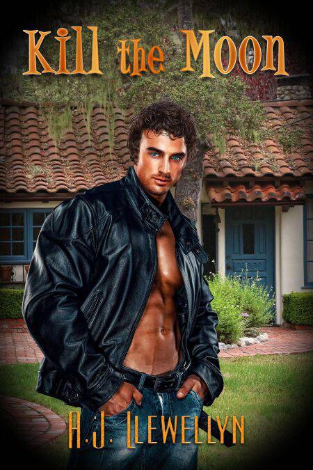 Kill the Moon (e-book) | A.J. Llewellyn | Romantische & Erotische ...