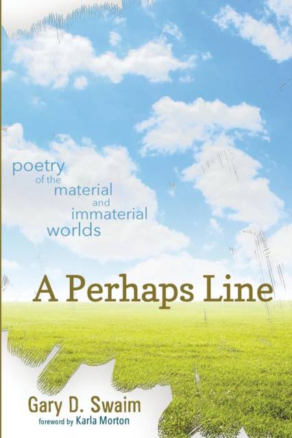 A Perhaps Line | Gary D Swaim | Literatuurgeschiedenis | 9781498204156 ...
