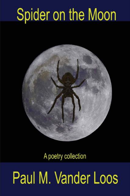Spider on the Moon | Paul Michael Vander Loos | Kunst | 9781646691821 ...