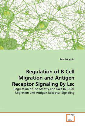 Regulation of B Cell Migration and Antigen Receptor Signaling By Lsc ...