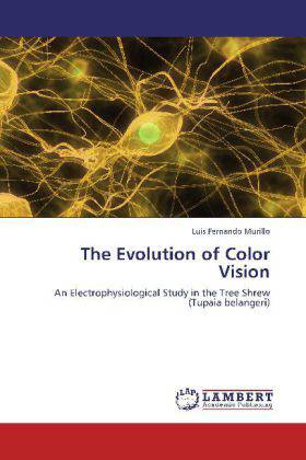 The Evolution of Color Vision | Luis Fernando Murillo | Biologie ...