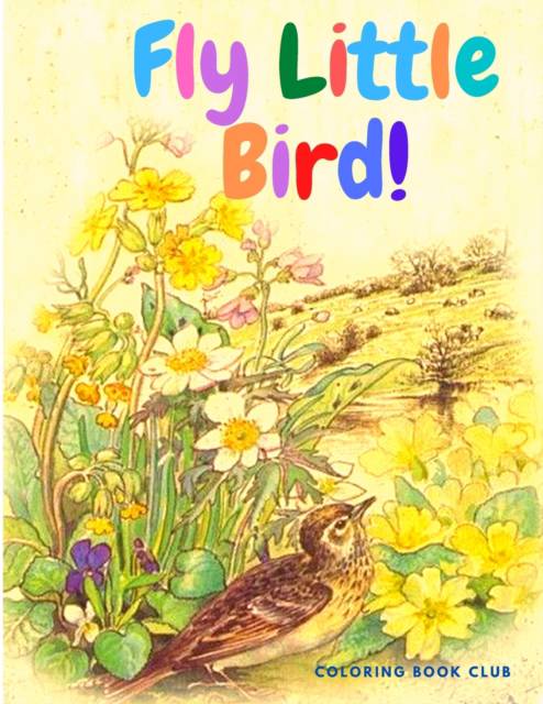 Fly Little Bird | Coloring Book Club | Kleur- en stickerboeken ...