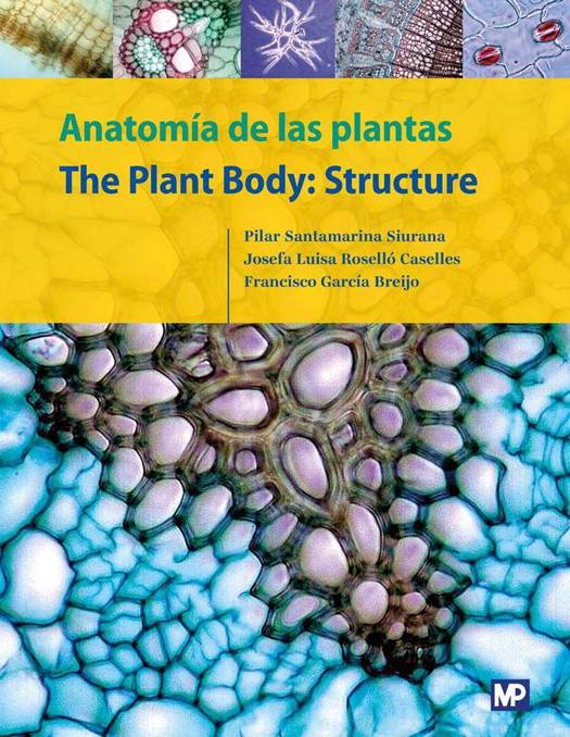 Anatomía de las plantas/The Plant Body: Structure | Francisco José ...