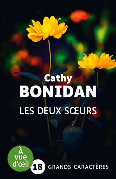 Les deux soeurs | Cathy Bonidan | Literatuur | 9791026908586 ...