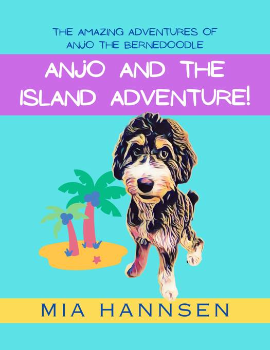Anjo and the Island Adventure! The Amazing Adventures of Anjo the ...