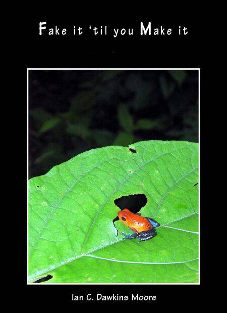 Fake it 'til you make it (e-book) | Ian C. Dawkins Moore | Literatuur ...