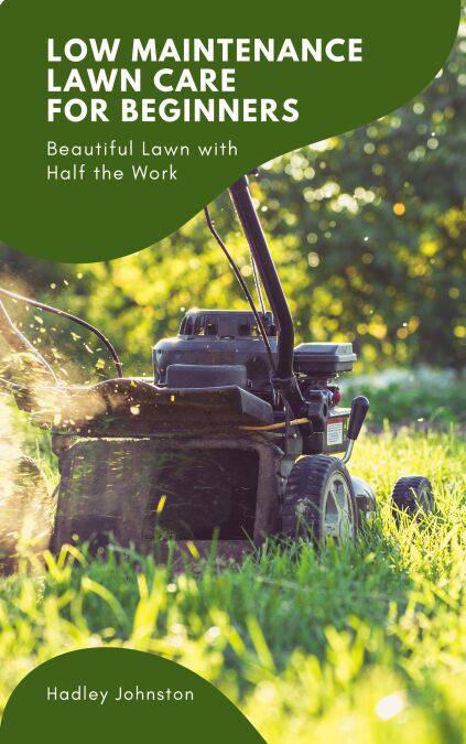 Low Maintenance Lawn Care for Beginners: Beautiful Lawn with Half the ...