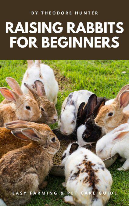 Raising Rabbits for Beginners: Easy Farming & Pet Care Guide (e-book ...