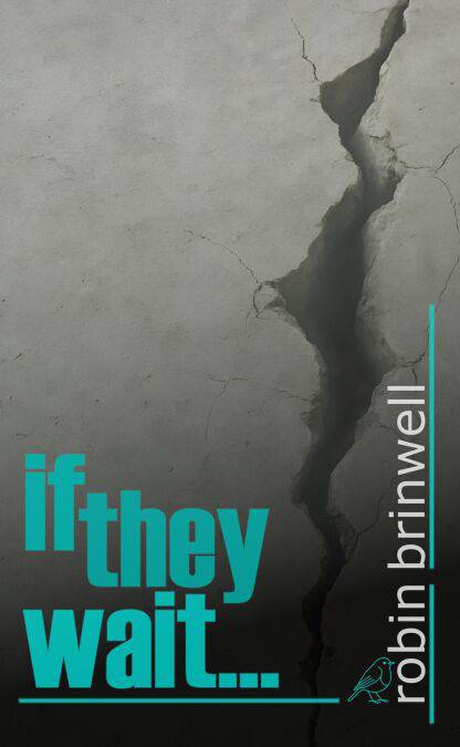 If They Wait (e-book) | Robin Brinwell | Horror | 9798233340338 ...